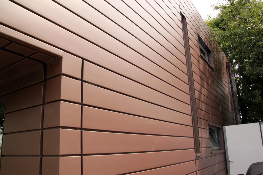 Einfamilienhaus, Laer (Germany) | VMZINC World